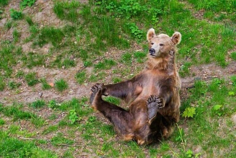 40 Random Funny Animal Pictures That Were A Pure Delight This Week ...