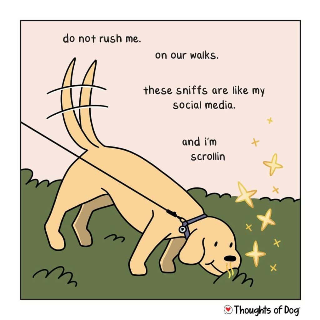 40 Comics About The Thoughts Of A Dog That Pet Owners Will Understand ...