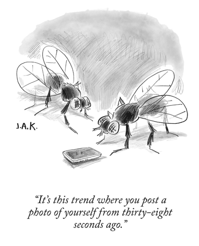 40 Comics Funny Enough To Balance Out Their Twisted Sense Of Humor From ...