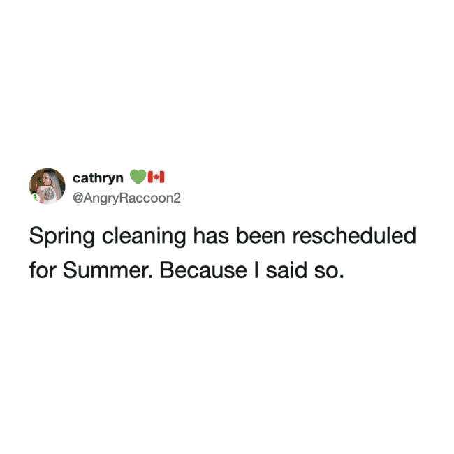 35 Spring Cleaning Tweets For People Who "Clean" By Hiding Things In ...