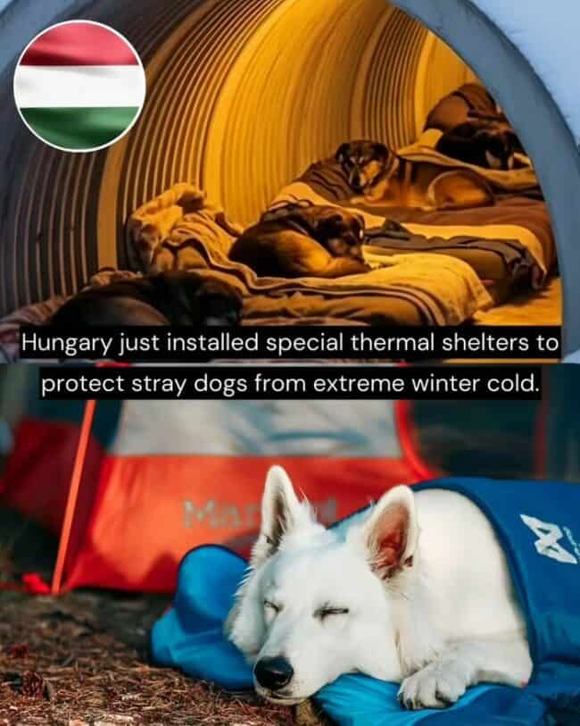 69 Good News Posts From Around The World To Get You Into The Winning ...