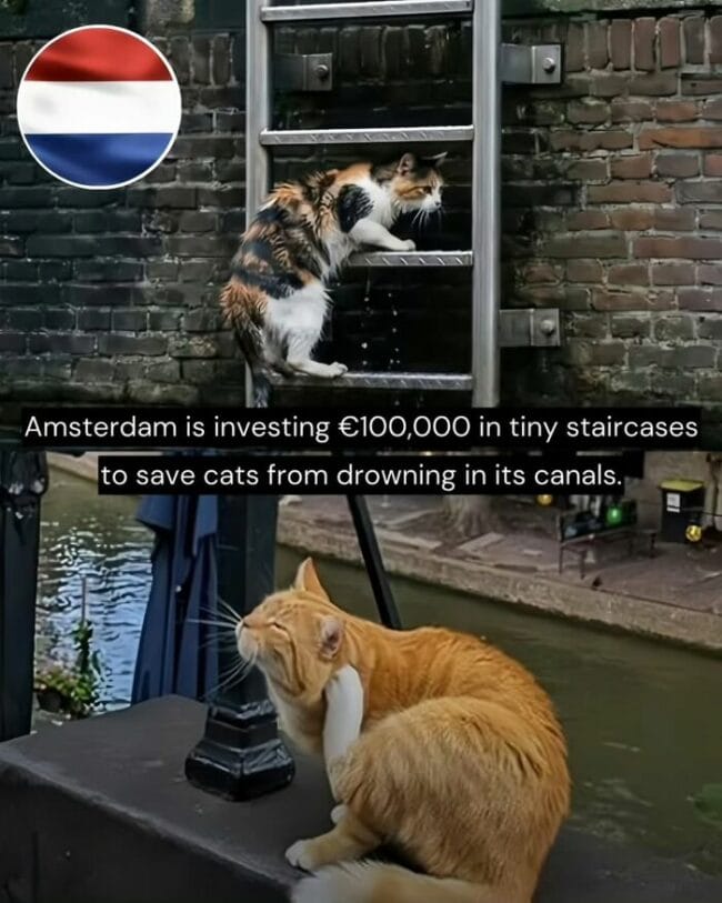69 Good News Posts From Around The World To Get You Into The Winning ...