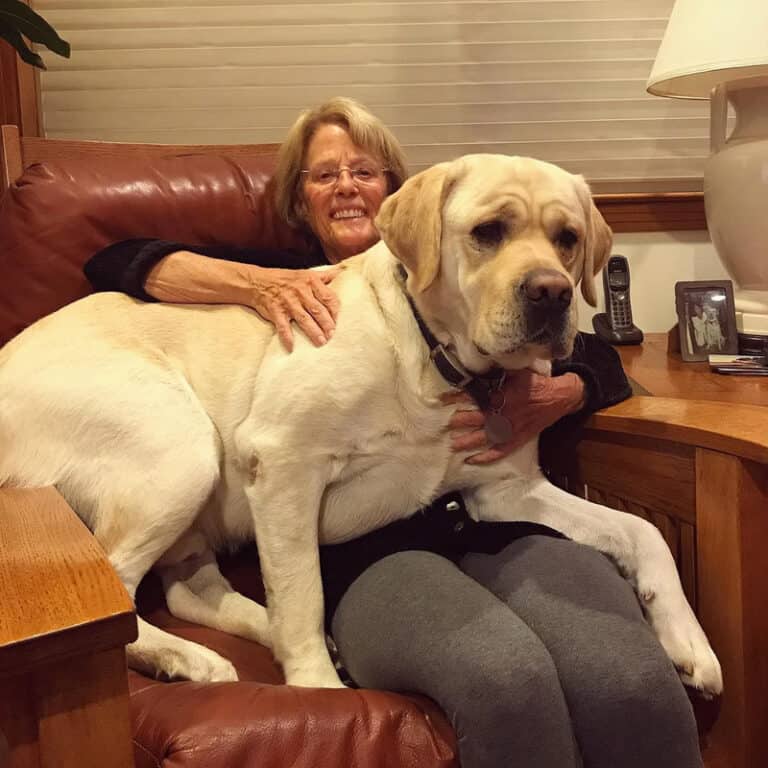 45 Dogs Who Forgot They're Not Lap Dogs