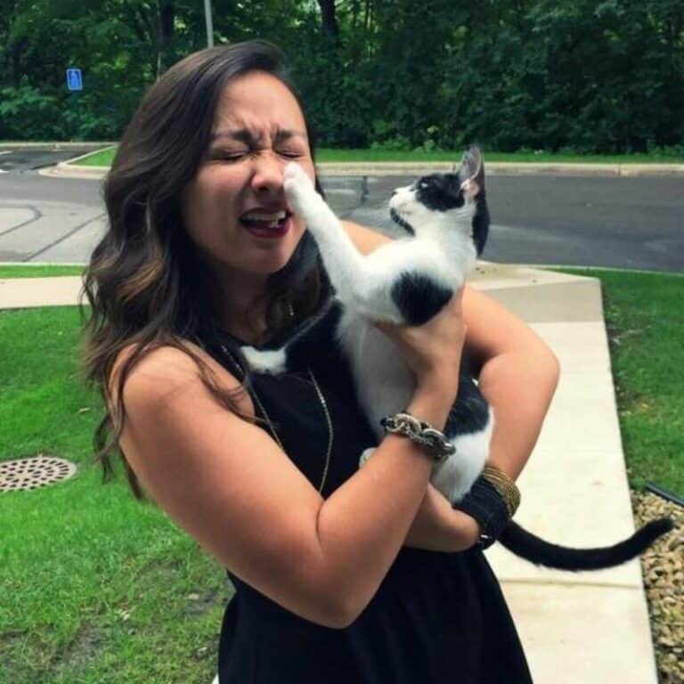 40 Random Funny Animal Pics That Are Exactly What You Need Right Now ...