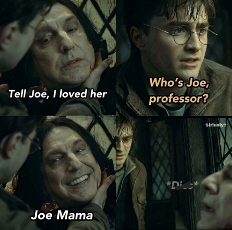 30 Severus Snape Memes For Harry Potter Fans Who Know Complicated ...