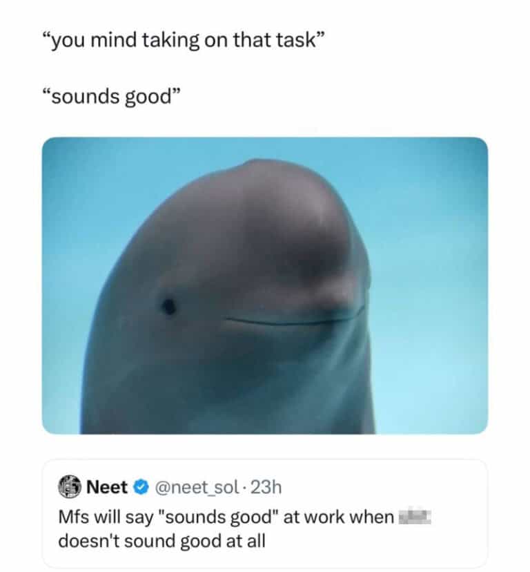 40 Funny Work Memes That Make The Workday Slightly More Bearable