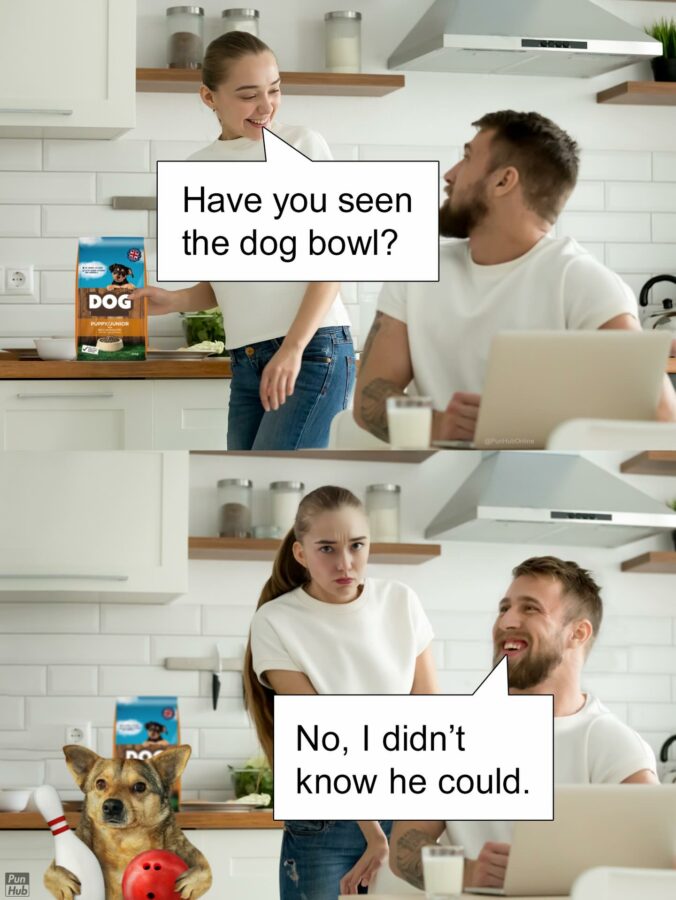 23 Animal Puns From PunHub That Aren't Lion About How Funny They Are