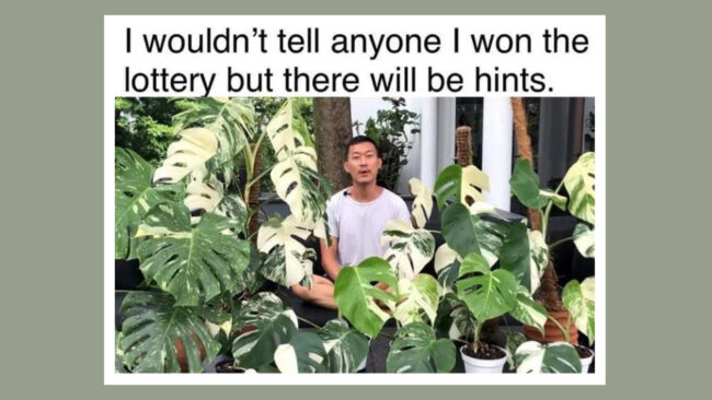 30 Gardening Memes For Green Thumbs And Plant Hoarders