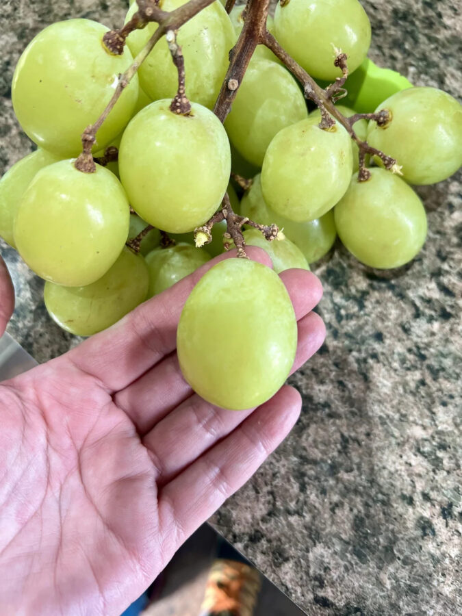 25 Mildly Interesting Food Pics For Anyone Who Eats With Their Eyes First