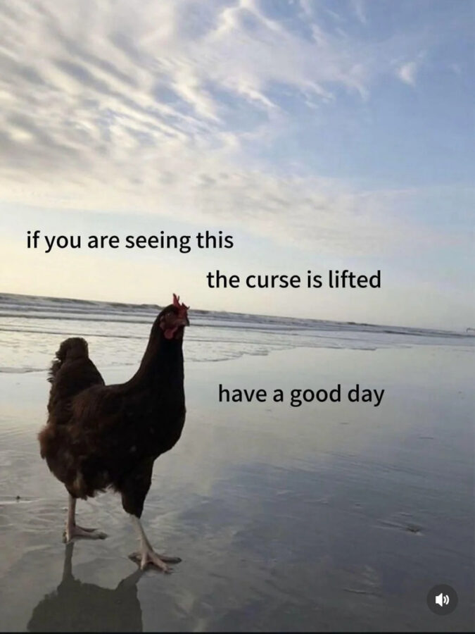 35 Wholesome Memes Bringing Some Much-Needed Good Vibes Today
