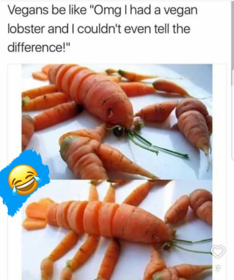 30 Funny Food Memes For People Who Plan Their Next Meal While Eating ...