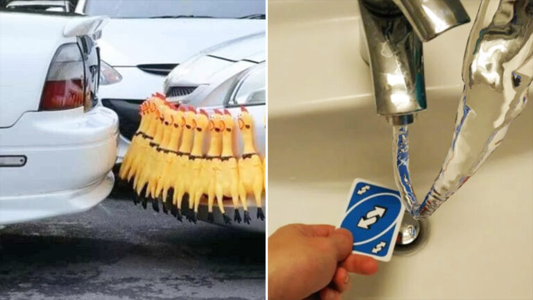 99 Funny And Absurd Pictures That Have No Explanation And Don't Need One