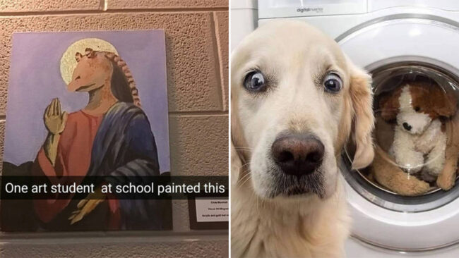 75 Funny And/Or Random Pictures For No Reason In Particular
