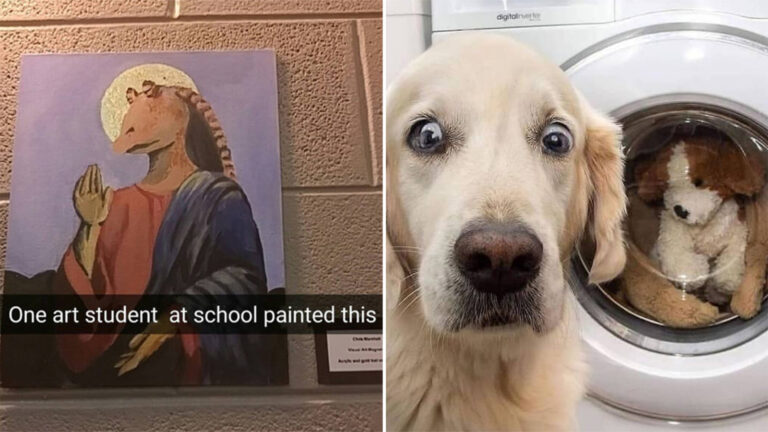 75 Funny And/Or Random Pictures For No Reason In Particular