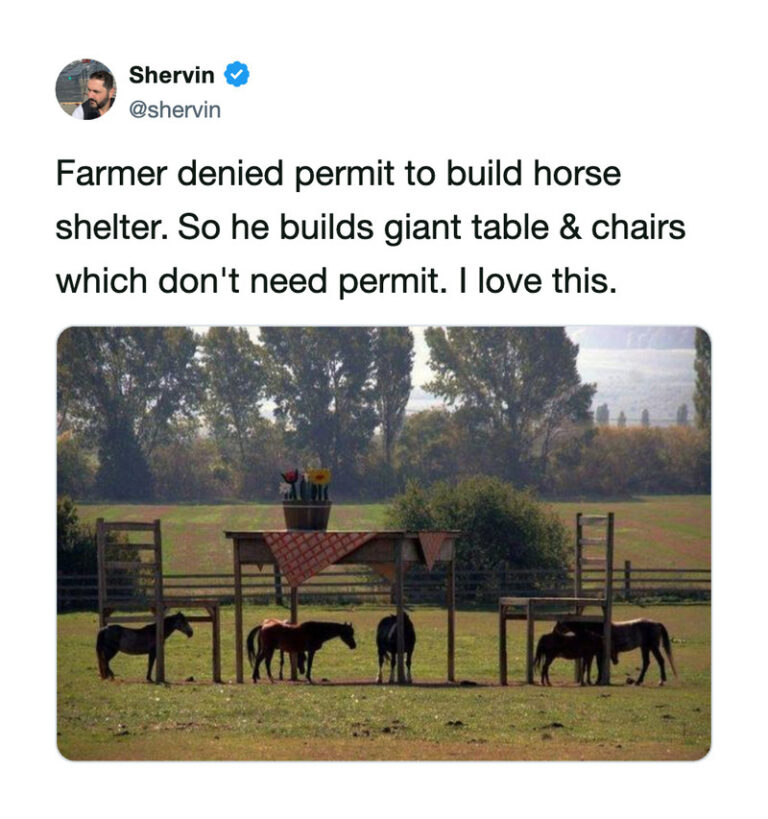 40 Funny Farm Photos That Make A Pretty Convincing Case For Moving To ...