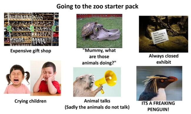 91 Funny Starter Pack Memes That Are Weirdly Specific Yet Surprisingly ...