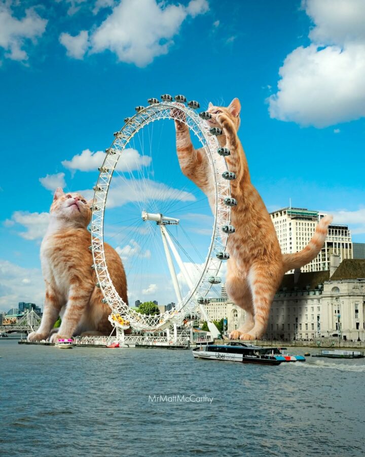 "Giant Cat Takeover" — 67 Surreal Digital Collages From This Talented ...