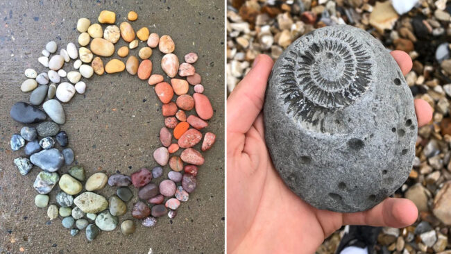 30 Mildly Interesting Beach Finds, Because The Beach Is Basically A ...